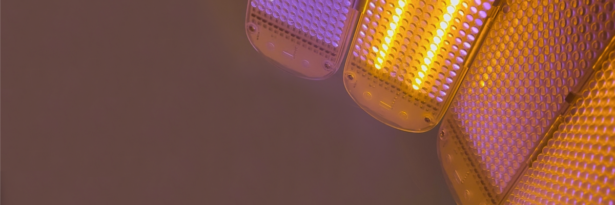 Healite II: Medical-grade LED Light Therapy – Mukti Organics